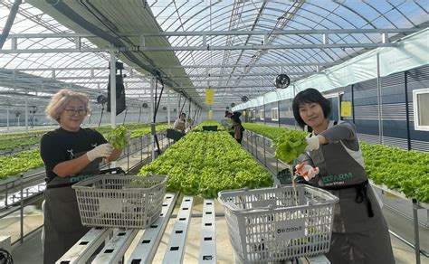 ‘스마트팜에선 청년농부가 자란다 서울신문