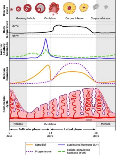 Module 5 ROS Deconstruction Reconstruction Flashcards Quizlet