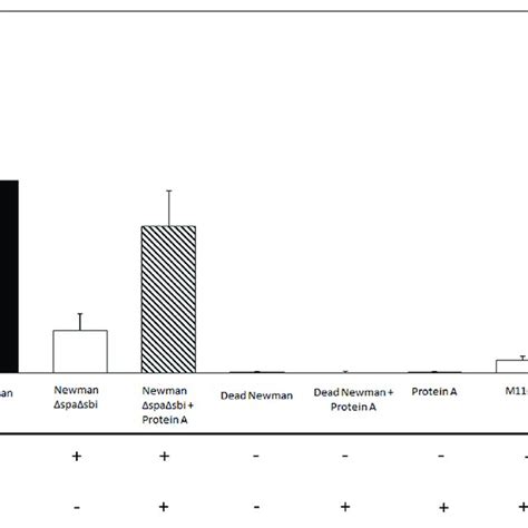 The Effect Of Live And Dead Staphylococcus Aureus And The Presence Of Download Scientific