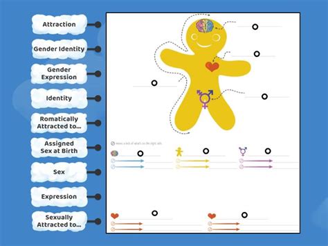 Genderbread Person V40 Labelled Diagram