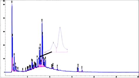 Chromatogram Of P Oleracea Download Scientific Diagram