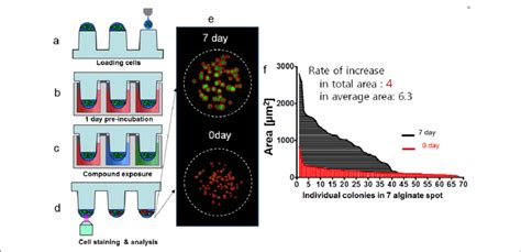 Experimental And Analysis Procedures For The Compound Efficacy Test