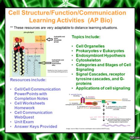 Cell Structure And Function Learning Activities Distance Learning