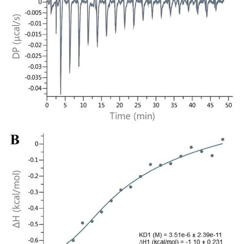 Itc Titration Curves A And Binding Isotherm B Of Prmt1 Binding With