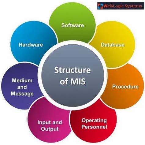 Management Information System At Rs 15200piece New Items In Lucknow