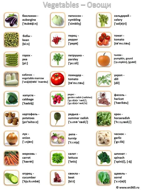 Овощи на английском языке в картинках с переводом и транскрипцией для детей и взрослых 2025