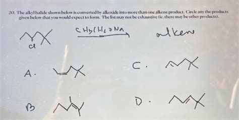 Solved Circle Any Alkenes You Would Expect To Form In The Chegg