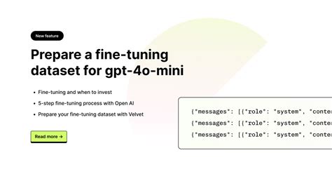 prepare a fine tuning dataset for gpt 4o mini