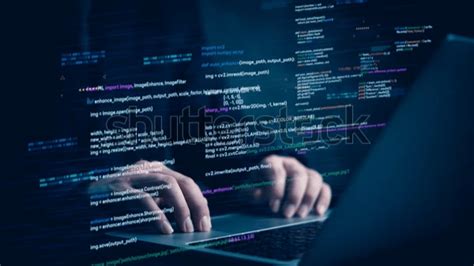 5 Essential Skills Software Developers Should Focus On In 2025