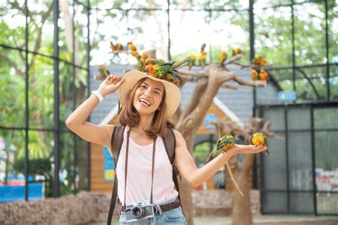 Top Safari Places You Can Go To On A Budget MgMedium