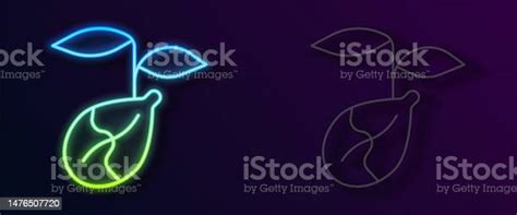 검은 색 배경에 고립 된 빛나는 네온 라인 새싹 아이콘 종묘와 묘목 나뭇잎 기호 잎 자연 벡터 0명에 대한 스톡 벡터 아트 및 기타 이미지 Istock