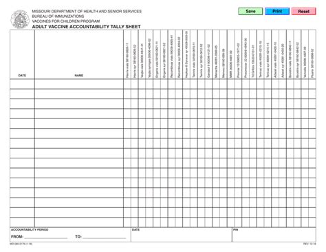 Tally Sheet Template