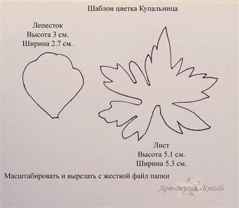 Трафарет листьев для цветов из фоамирана (48 фото)