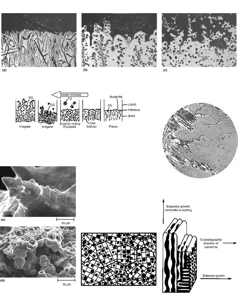 Solidification Structure Of Steel And Cast Iron Pdf Download Available