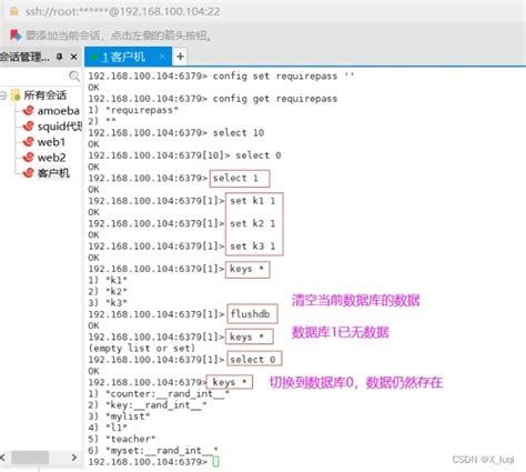 非关系型数据库 redis 非关系型数据库参数有哪些 csdn博客