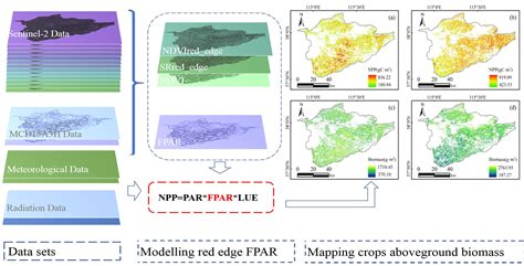 Remote Sensing Free Full Text Aboveground Biomass Mapping Of Crops Supported By Improved