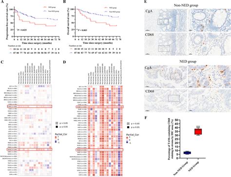 Neuroendocrine Differentiation Predicted Poor Prognosis Of Crc Patients