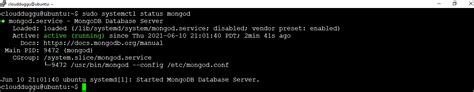 MongoDB Installation Tutorial CloudDuggu