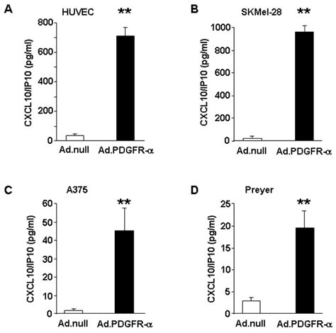 Cxcl10 Ip10 Protein Expression Cxcl10 Ip 10 Expression Level Measured