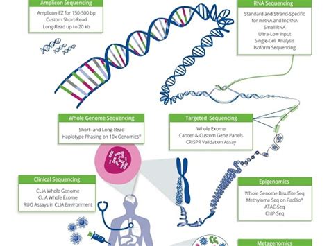 Next Generation Sequencing An Approach To Know The Organism Better
