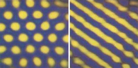 Reaction Diffusion Patterns In Jaws Of The Animal Kingdom