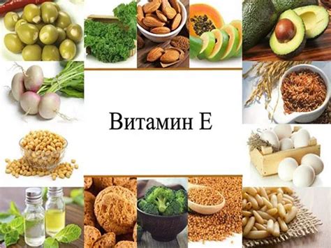 Жирорастворимые витамины: общая характеристика и функции