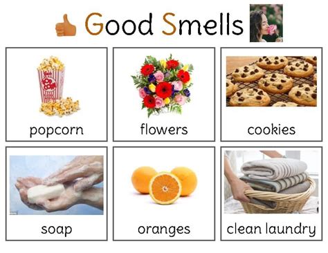 Good Vs Bad Smells Chart By Learning With Lorraine Tpt