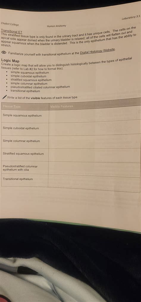 Solved Transitional Etthis Stratified Tissue Type Is Only