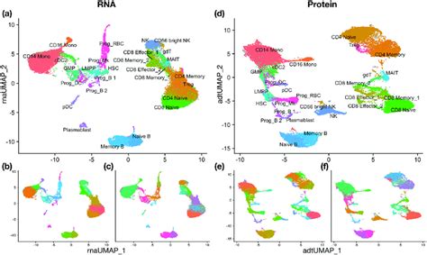 umap visualization for hbmc data and the clustering results a true