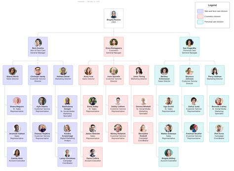 Business Organizational Structure Diagram Organizational Org