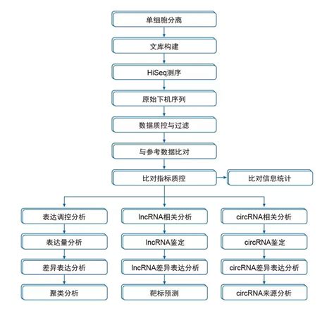 单细胞测序流程 单细胞测序 单细胞测序技术 第10页 大山谷图库