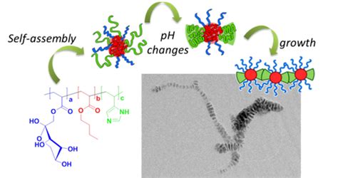 Poly4‐vinyl Imidazole A Ph‐responsive Trigger For Hierarchical Self