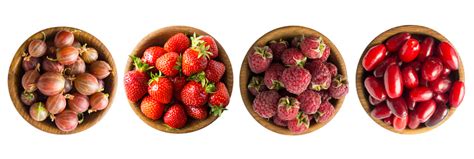 붉은 과일과 열매 흰색 절연 콜라주 딸기 라스베리 Cornels와 구 즈 베리 나무의 집합입니다 달 콤 하 고 달콤한 베리 텍스트 복사 공간 익은 열매 클로즈업입니다 배경