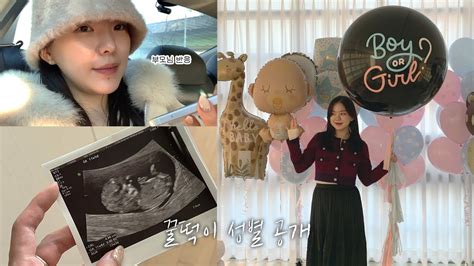 임산부 Vlog 드디어 꿀떡이 성별이 나왔습니다🔥 젠더리빌 하마씨반응 부모님반응 Youtube