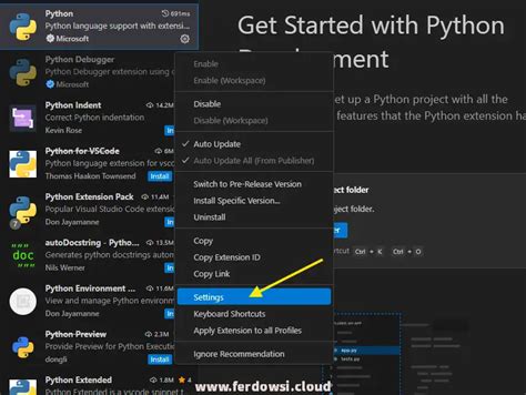بهترین افزونه های Vscode برای پایتون 10 افزونه مهم وی اس کد