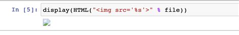 absolute paths to markdown images in a jupyterhub programming