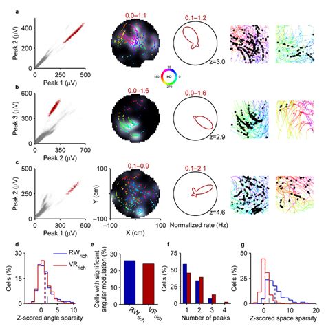 Similar Levels Of Significant Head Directional Modulation In Rw Rich