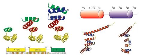 Custom MemPro TPR Alpha Helical Repeat Proteins Creative Biostructure