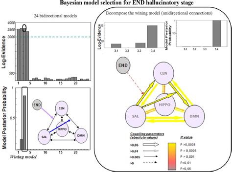 Results Of Bayesian Model Selection For The End Hallucinatory