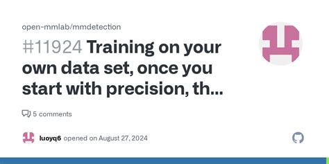 Training On Your Own Data Set Once You Start With Precision The Next