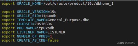 oracle19c单机静默安装及补丁升级 oracle补丁安装 csdn博客