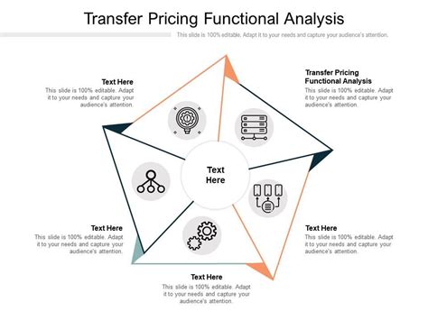 Transfer Pricing Functional Analysis Ppt Powerpoint Presentation Icon