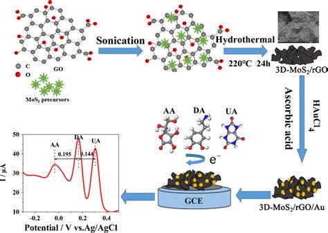 in situ growth of gold nanoparticles on a 3d network consisting of a