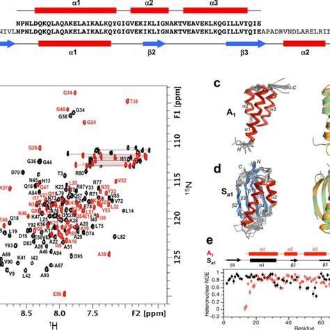 Structure And Dynamics Of A And Sa A Sequence Alignment Of A And Download Scientific Diagram