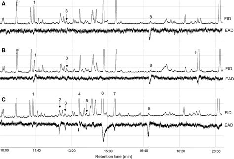 GC EAD Gas Chromatography Electroantennographic Detection Recording Download Scientific