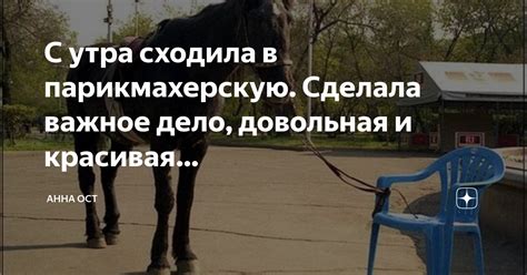С утра сходила в парикмахерскую Сделала важное дело довольная и красивая… Анна Ост Дзен