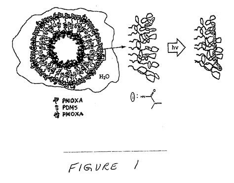Amphiphilic Copolymer Patented Technology Retrieval Search Results