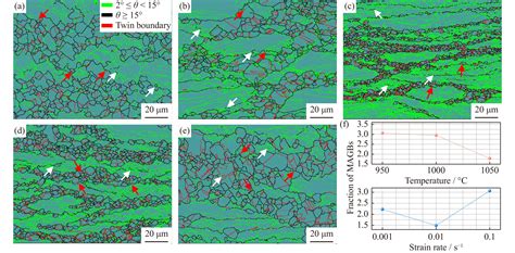 Processing Map And Dynamic Recrystallization Behaviours Of 316ln Mn Austenitic Stainless Steel