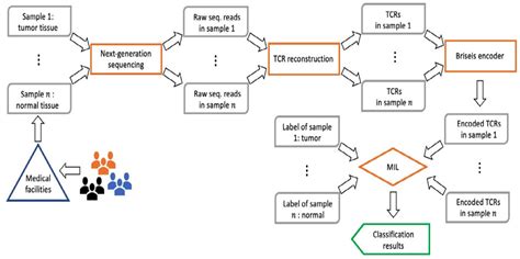 A Comprehensive Review On Multiple Instance Learning