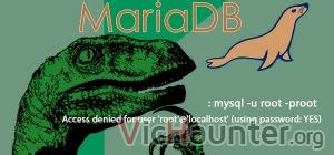 Cómo solucionar que root no puede acceder a MariaDB tras instalarlo VicHaunter org
